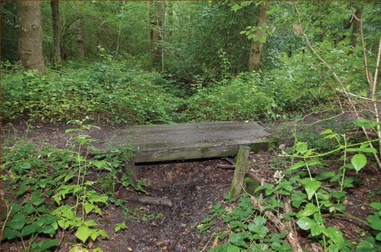 Sleeper Bridges – Solihull Conservation Volunteers